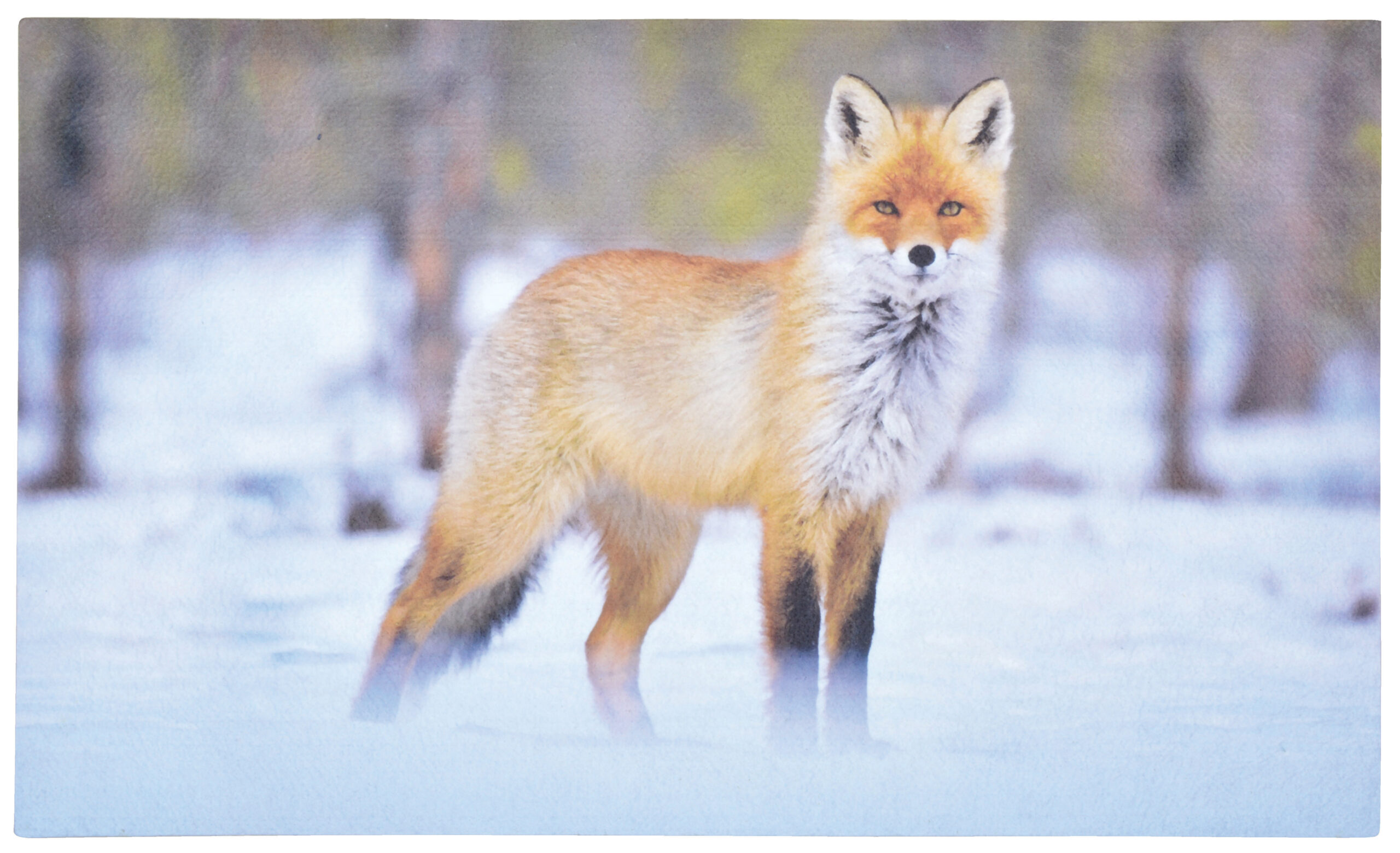 Doormat Fox (Piece) – Furn Art - Made by Nature